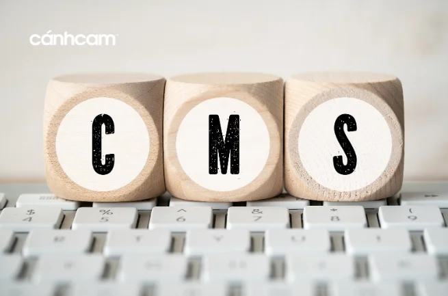 CMS là gì? Các loại CMS phổ biến